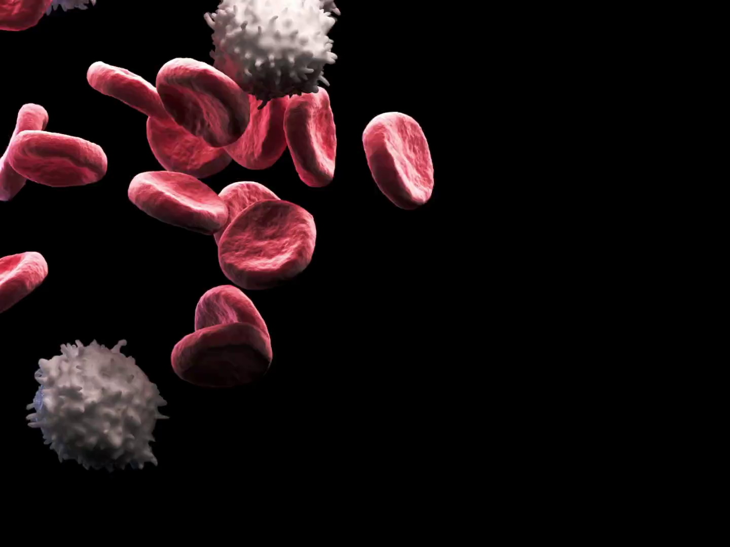 Leukocyte Animation by Twelve Moons on Dribbble