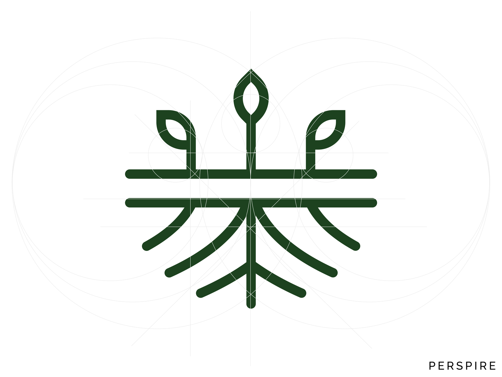 Perspire Logo and Web Design by Qbit - Digital Agency on Dribbble