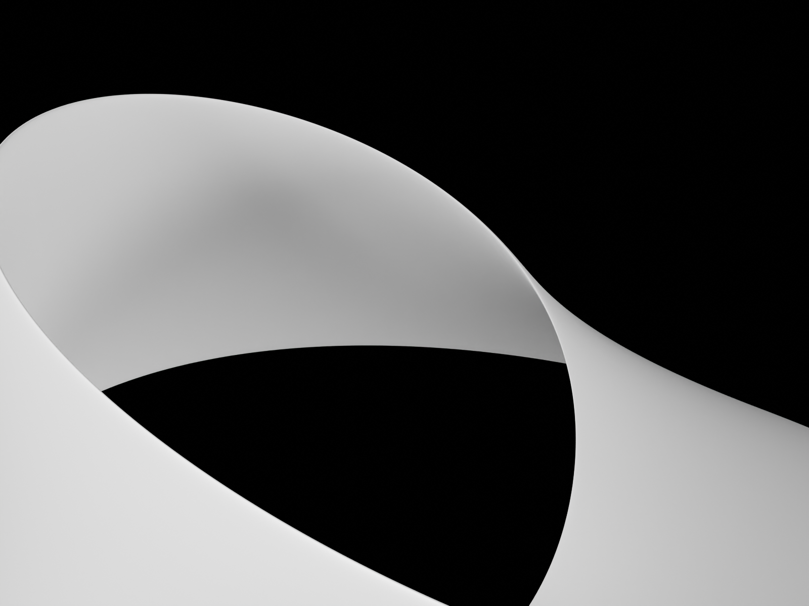 Syntropy Identity Concept by Paulius Kairevicius on Dribbble