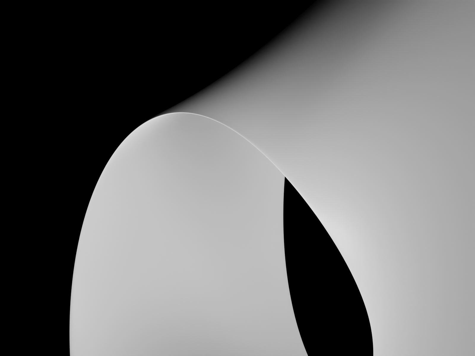 Syntropy Identity Concept by Paulius Kairevicius on Dribbble