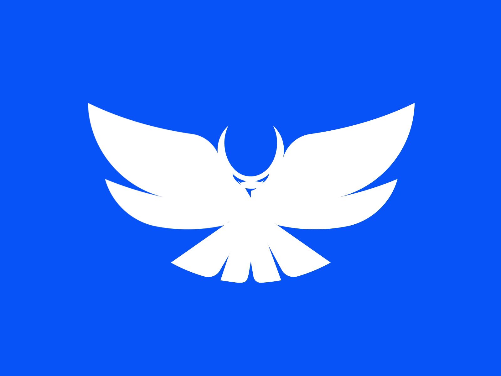 Owl Logo & Grid by DAINOGO on Dribbble