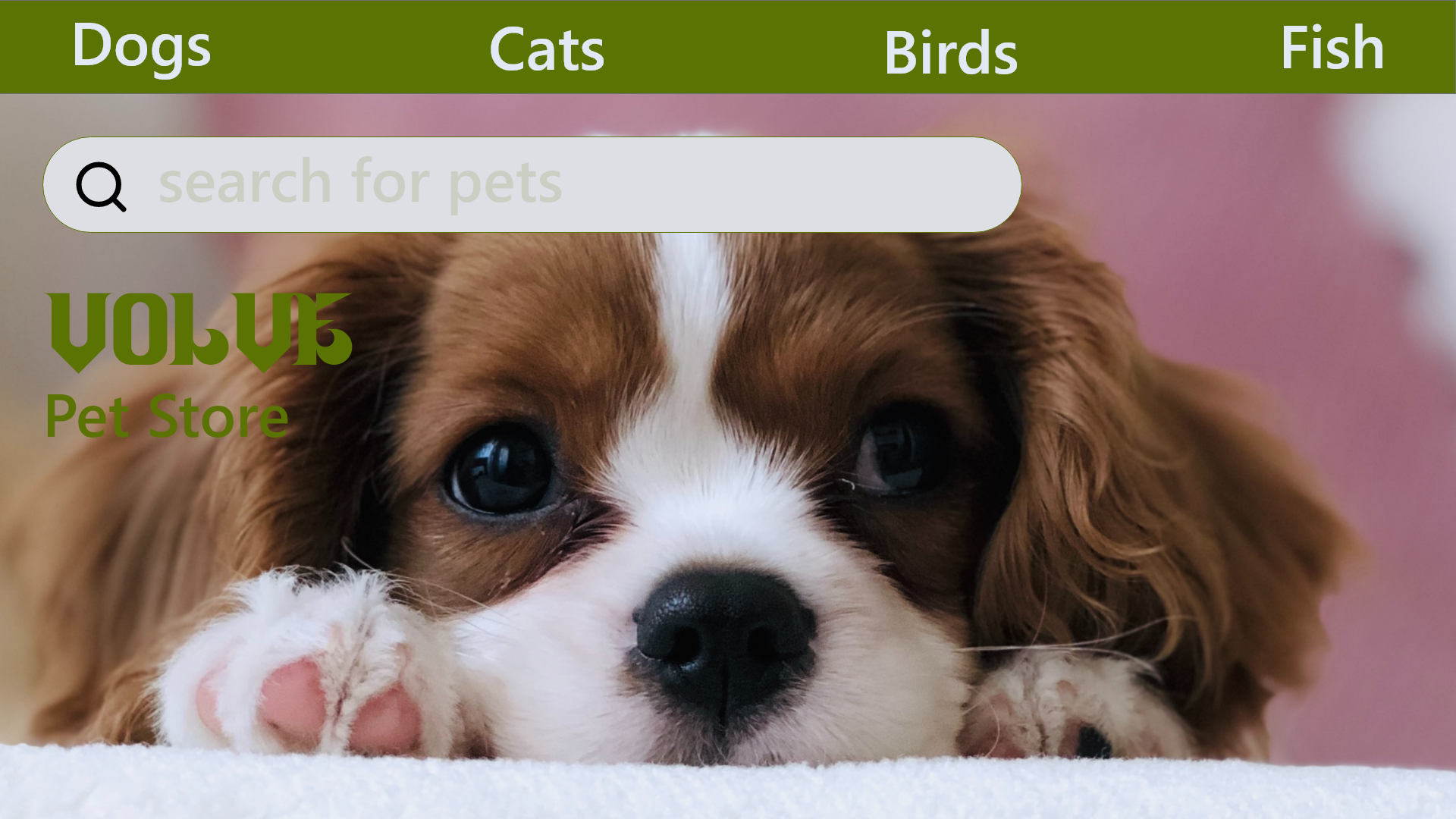search bar for a pet store by Isaac James on Dribbble