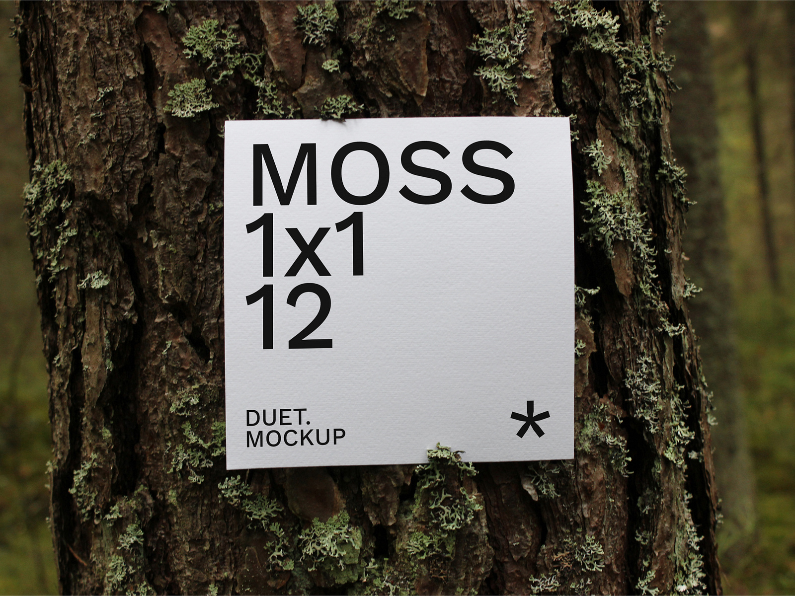 Moss Square Card 12 Mockup by DUET MOCKUP on Dribbble
