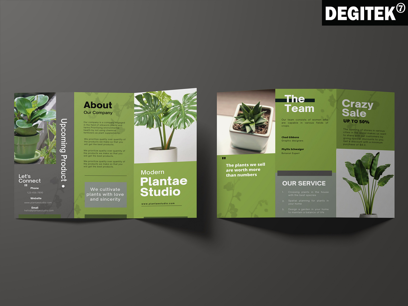 TRIFOLD MODERN PLANTAE STUDIO BROCHURE DESIGN by YUMNA QASIM on Dribbble