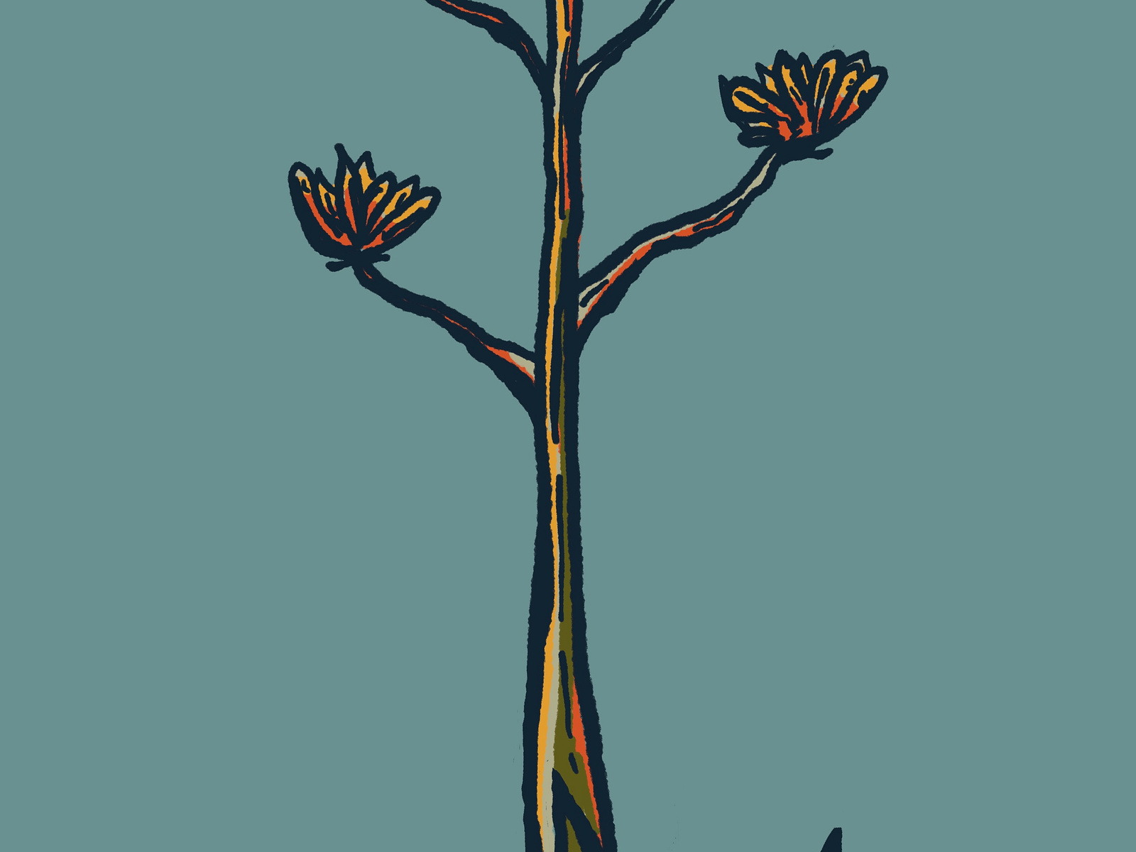 Century Plant by Jeb Matulich on Dribbble