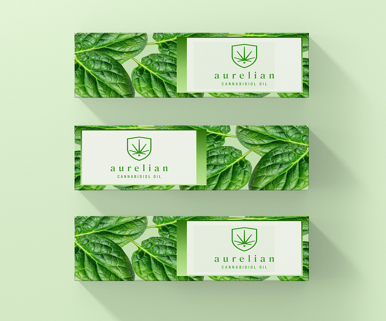 Green leaf Box Packaging Design by gopal ghori on Dribbble