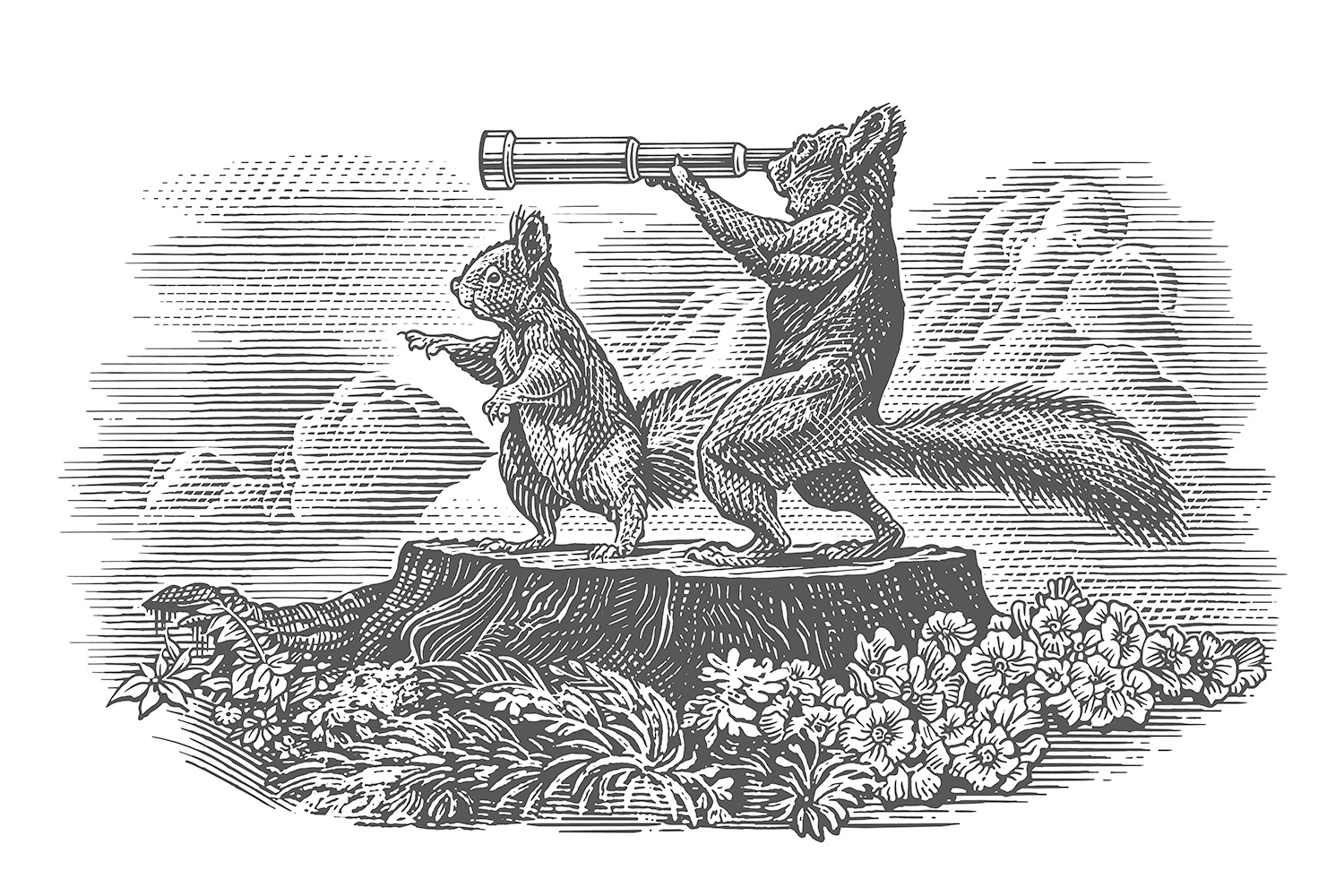 Explorer Squirrels by Roger Xavier on Dribbble