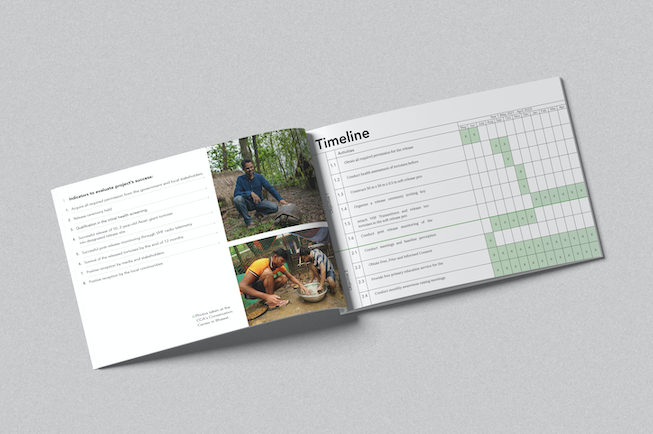 Report Design For Cca By Tanni On Dribbble