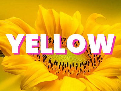 Symbolism Of Colors: Yellow by Niina Niskanen on Dribbble