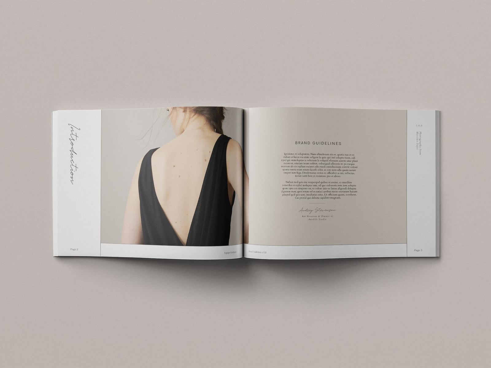 Inge Brand Guidelines #2 by CheetozE on Dribbble