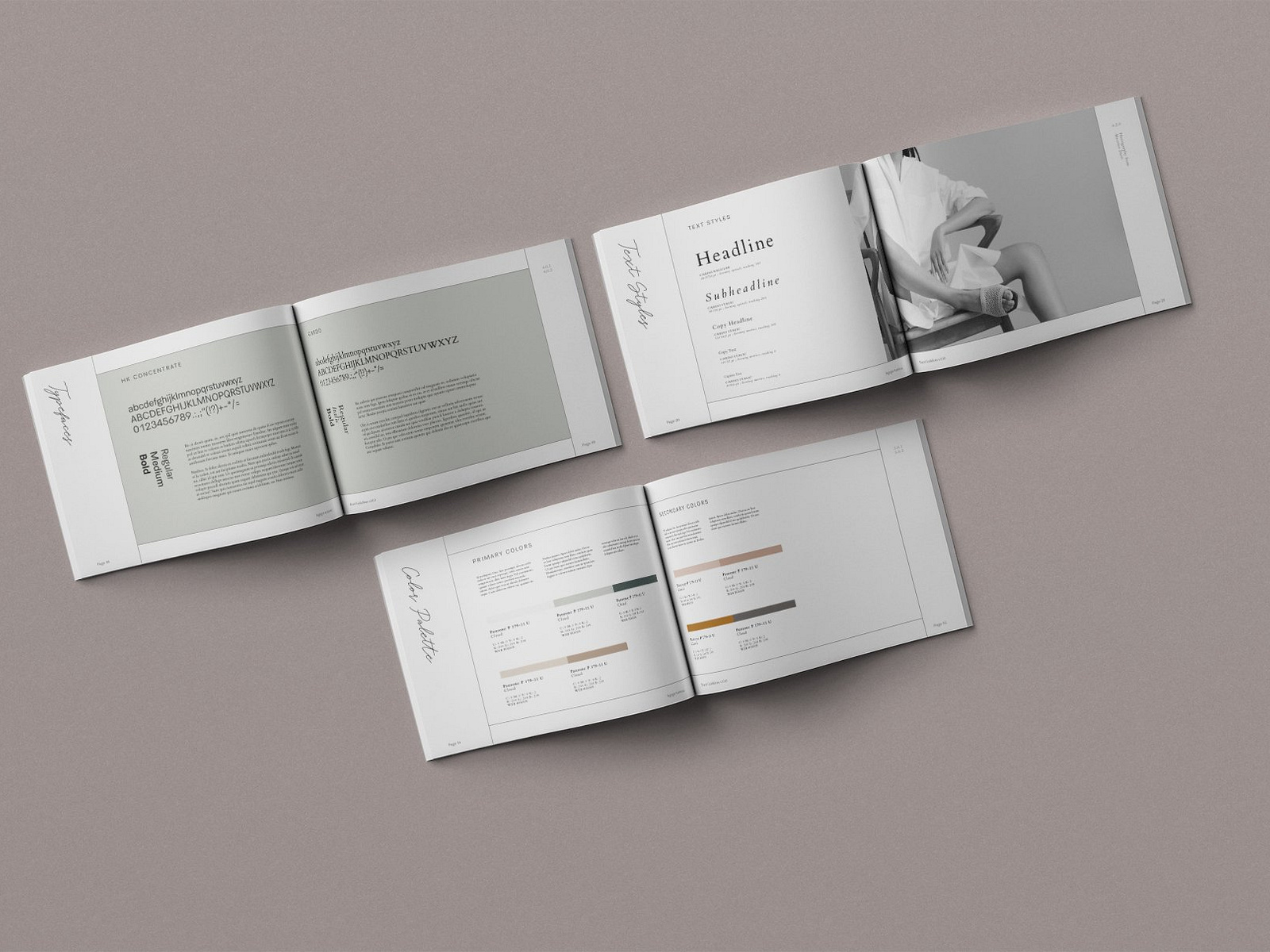 Inge Brand Guidelines #4 by CheetozE on Dribbble
