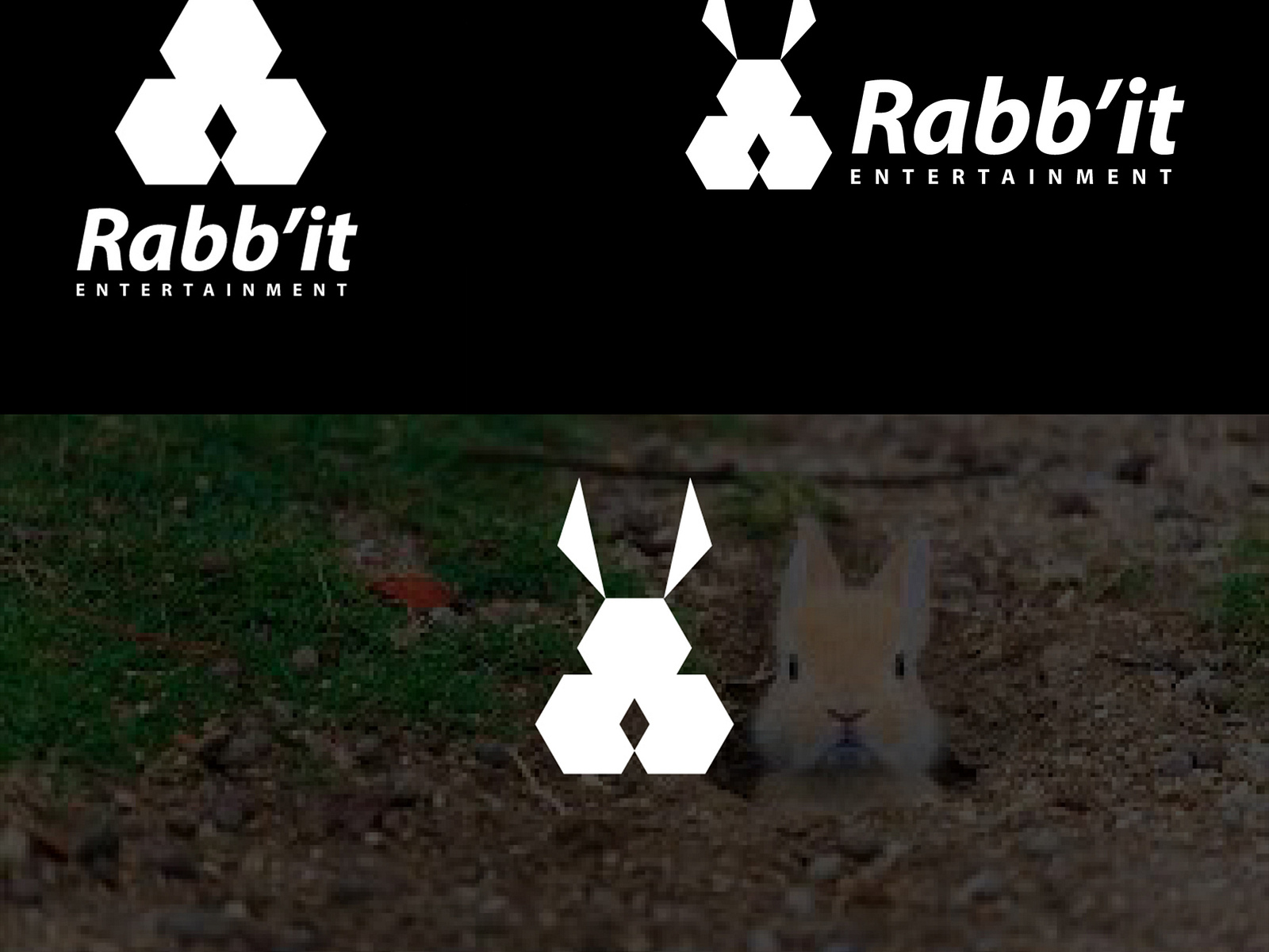 Rabb'it Entertainment Logo by Md. Al Noman Akash on Dribbble
