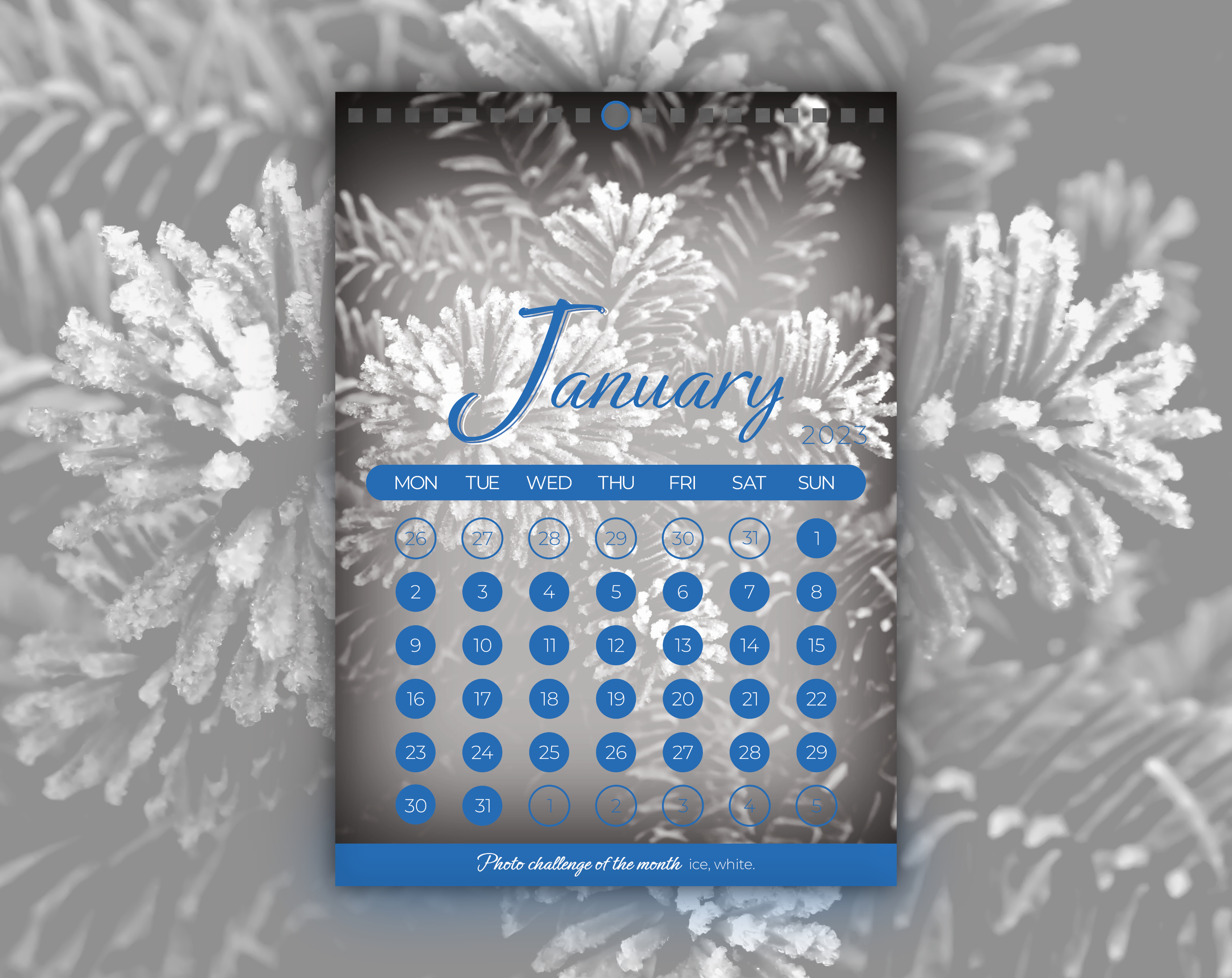 Calendar 2023 - January by Marine Kreation on Dribbble