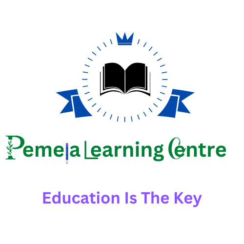 pemela by KABEER on Dribbble