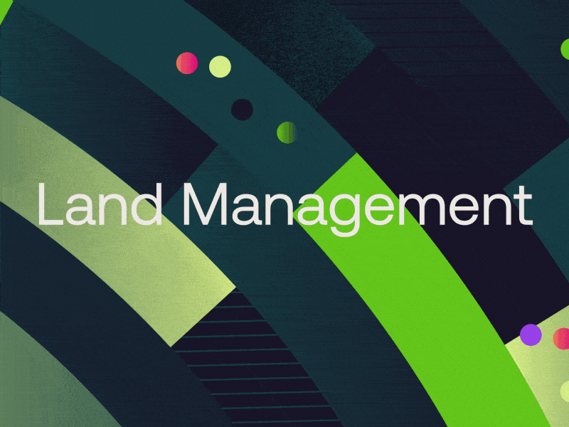 Tarot-o-bot | The Keyframer & The Update by ILLO on Dribbble