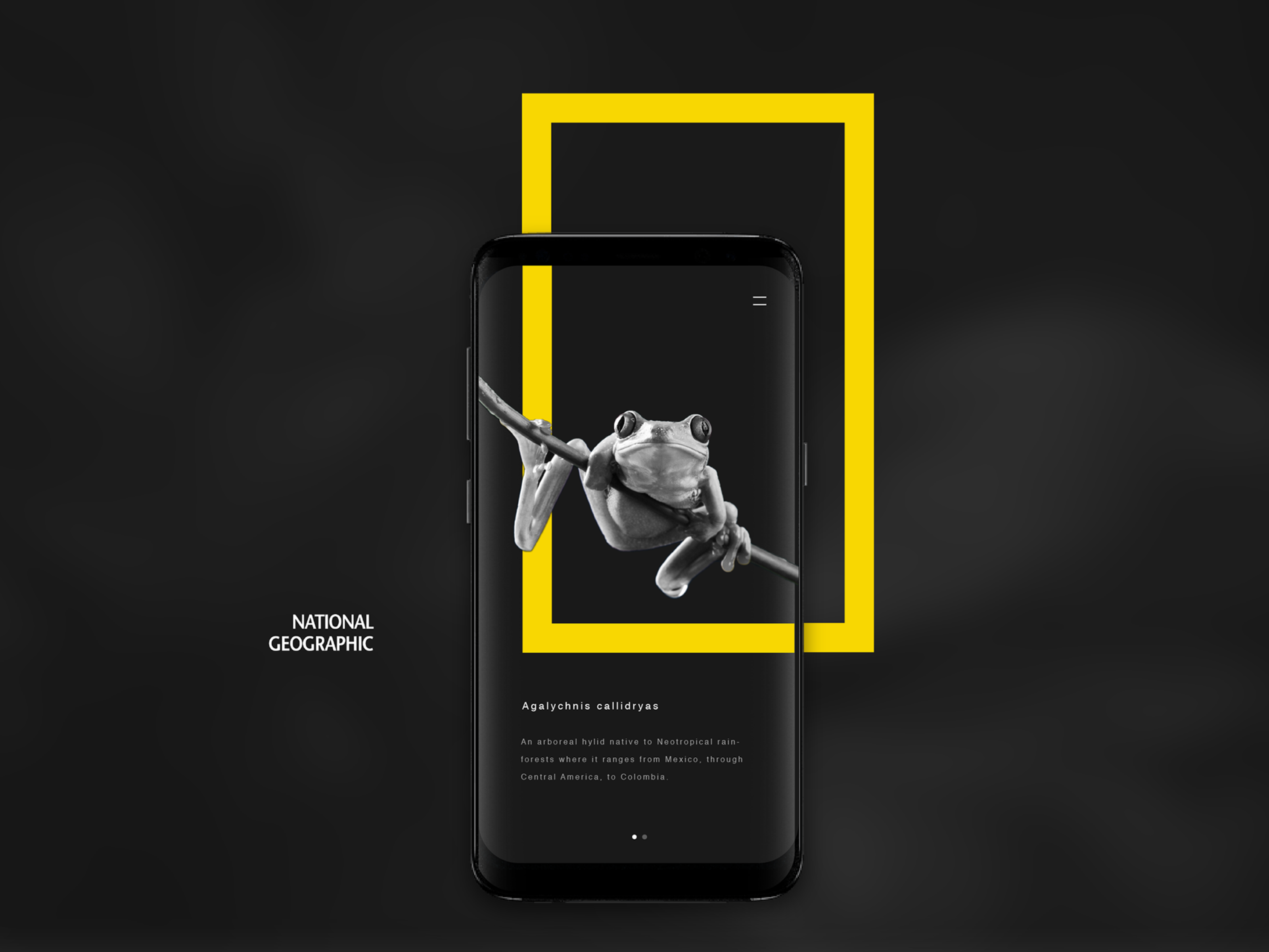 UI DESIGN by Ali Said Founder @ Temporal on Dribbble