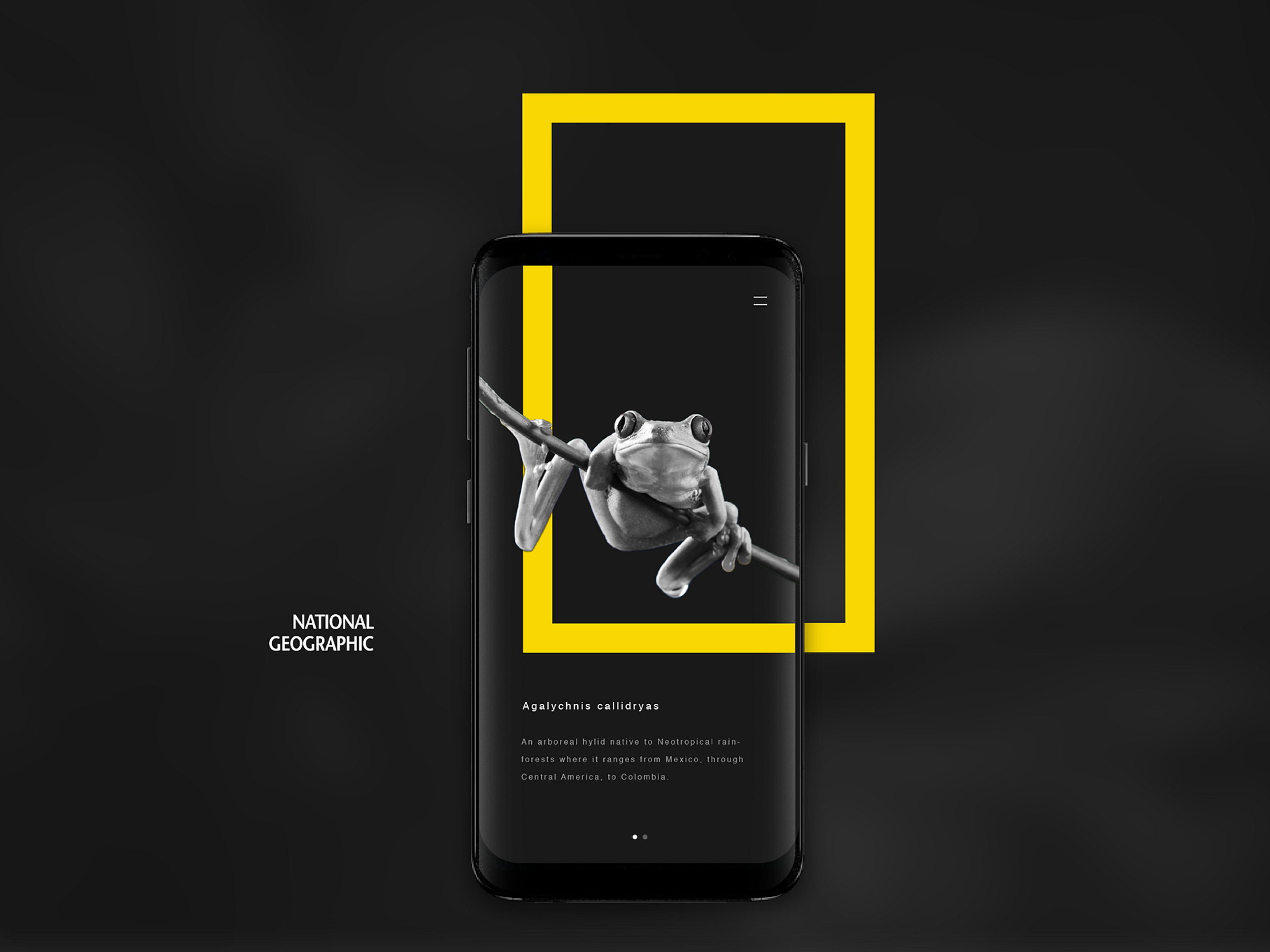 UI DESIGN by Ali Said Founder @ Temporal on Dribbble