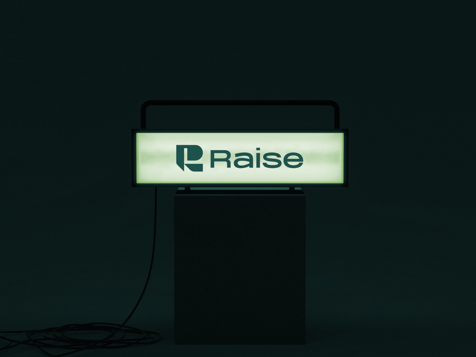Raise Logo Design by Elif Kameşoğlu for Elbu Studio on Dribbble