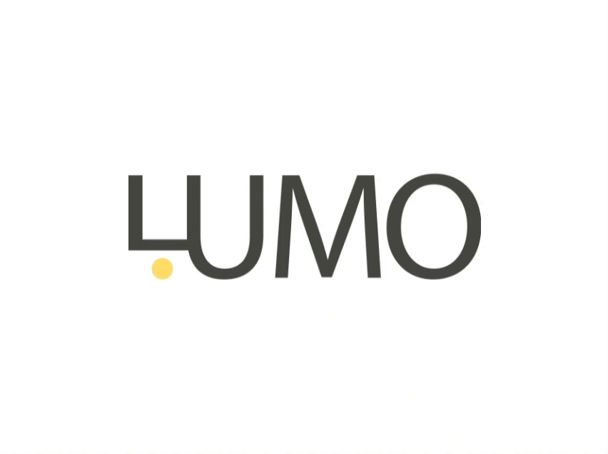 LUMO | Logo for Website by Kamila Goik on Dribbble