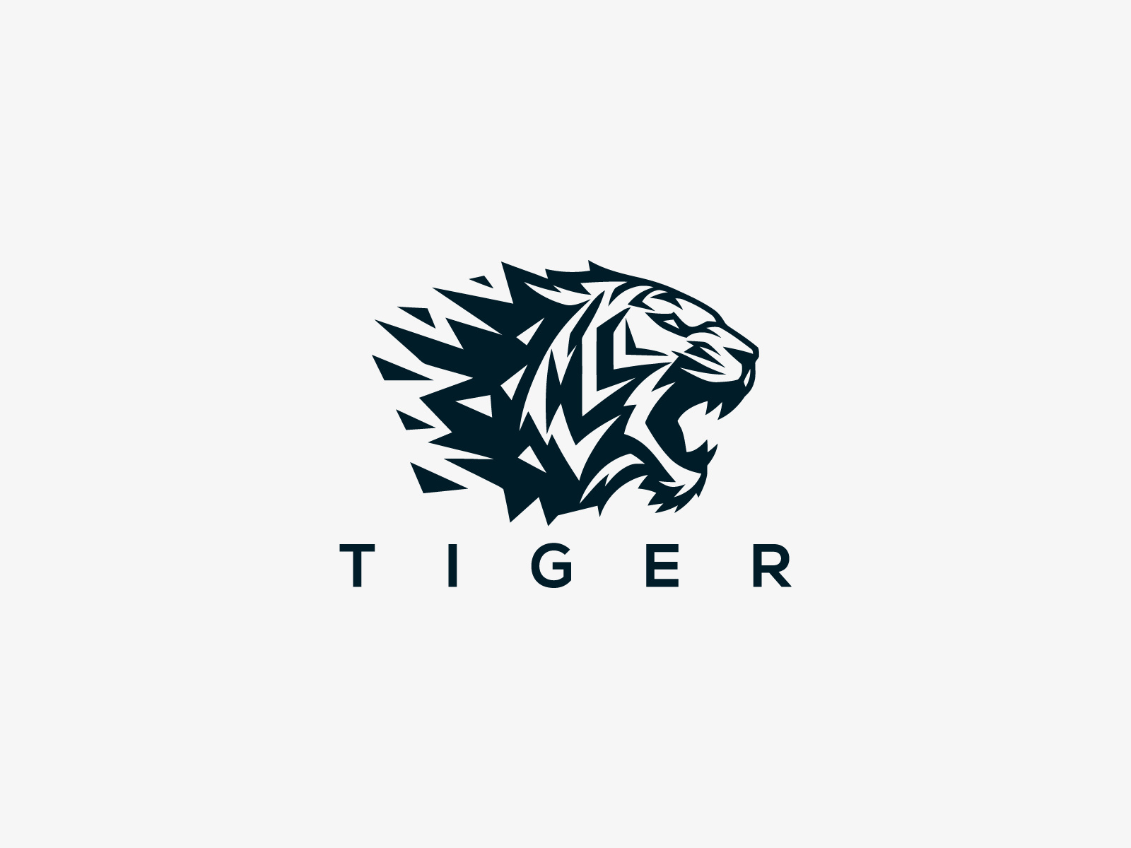 Tiger Logo by Ben Naveed 🇺🇸 on Dribbble