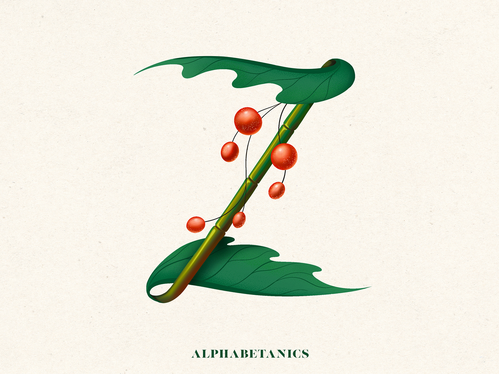 Z for Alphabetanics by Anna Gugutishvili on Dribbble