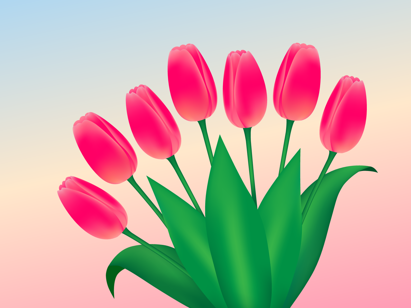Tulips bouquet 🌷 by Elena Barskaya on Dribbble