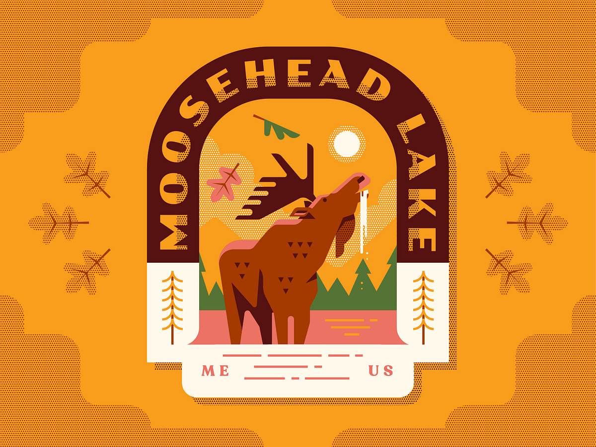 Wild Stripes 🐯🎆 by Trey Ingram on Dribbble