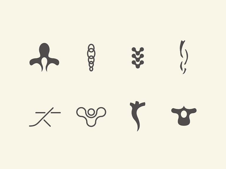 Taylor Spine & Sports by Courtny Cotten on Dribbble