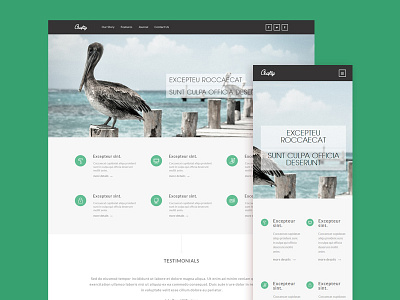 Free Responsive HTML5/CSS3 Template by pixel hint on Dribbble
