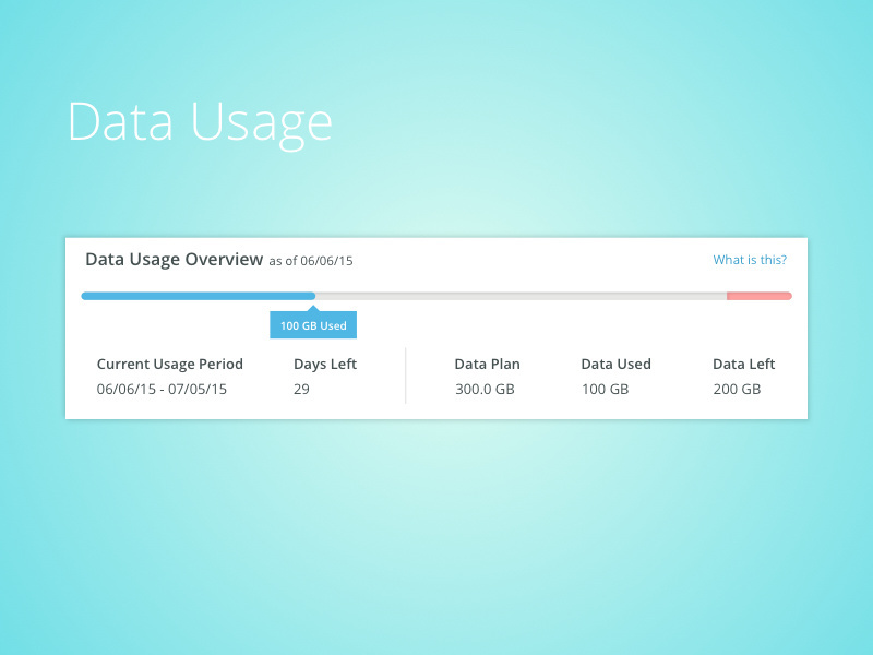 Data Usage Meter 1 by Hannah Lee Barganier on Dribbble