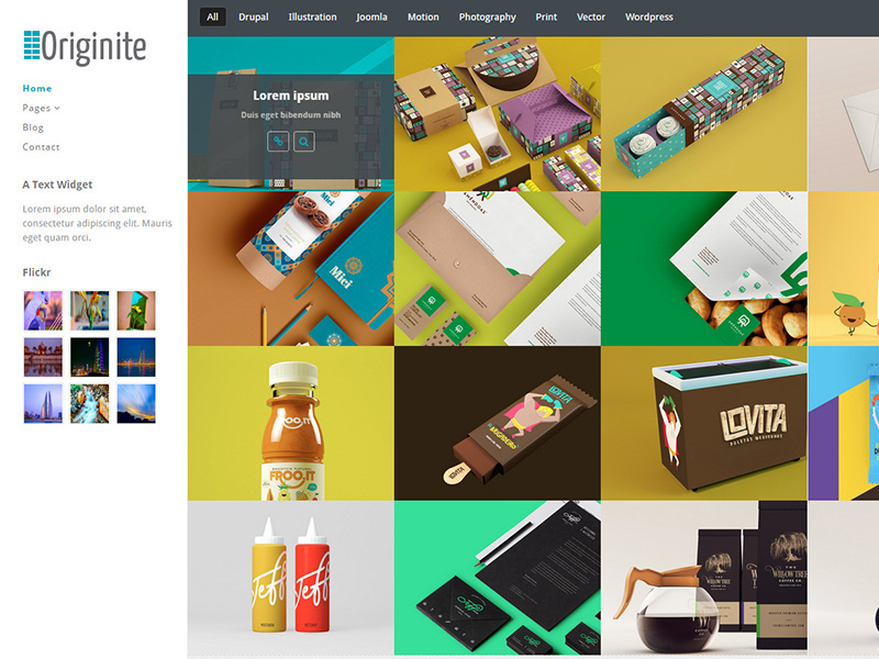 Originite Portfolio WordPress Theme by PCMShaper on Dribbble