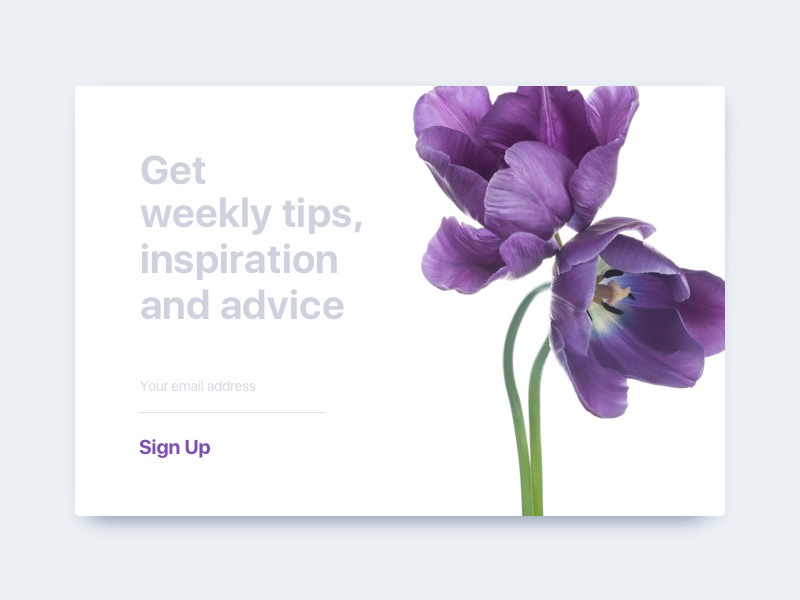 Sign Up Modal by Margaret on Dribbble