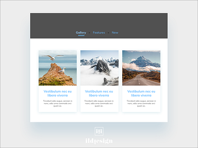 Gallery UI designs, themes, templates and downloadable graphic elements ...