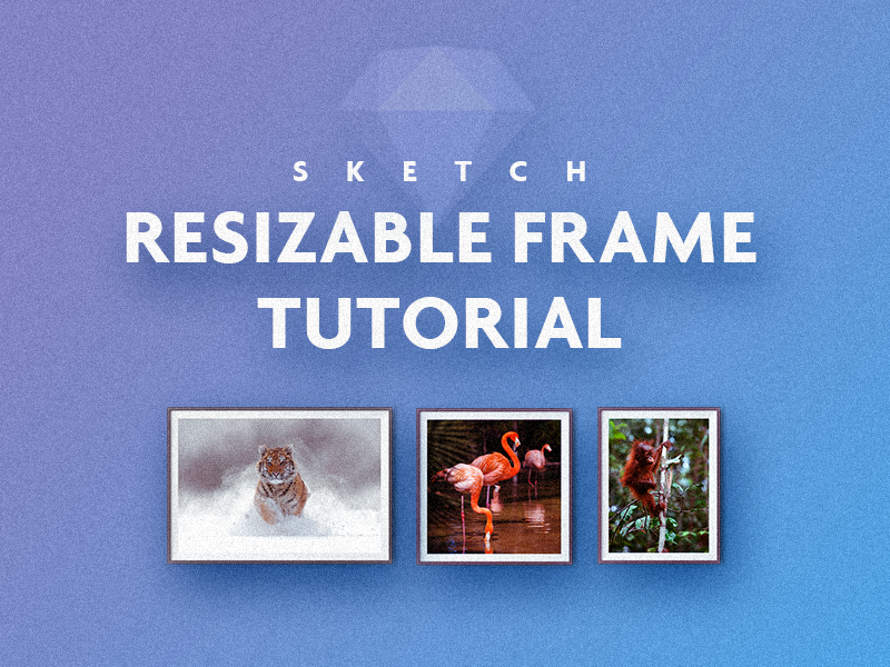 Resizable Frame Sketch Tutorial by Spasimir Dinev on Dribbble