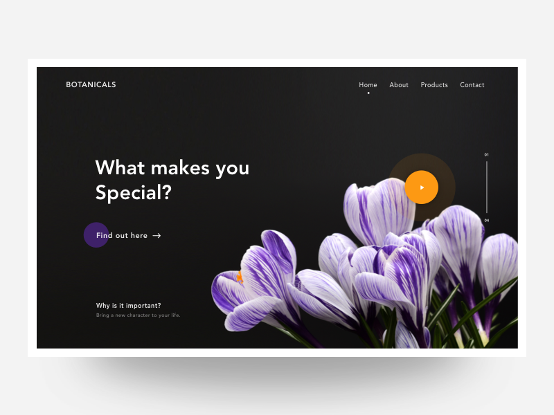 Botanical Rebound by Aby Abraham on Dribbble
