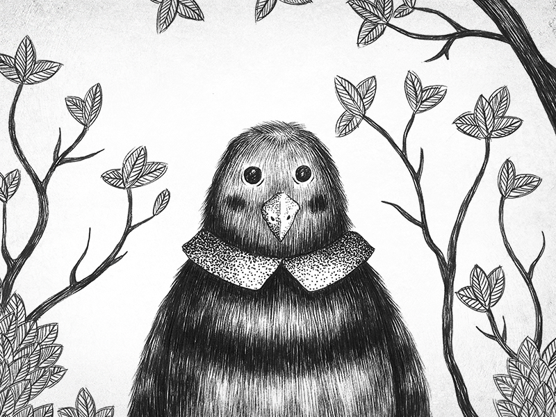 Mr Bird by Orhan Ata on Dribbble