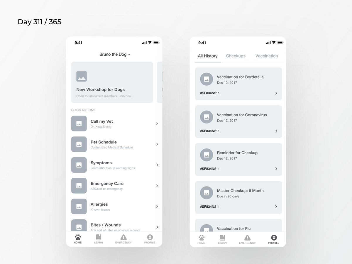 Pets Healthcare App Wireframe | Day 311/365 - Project365 by Kishore on ...