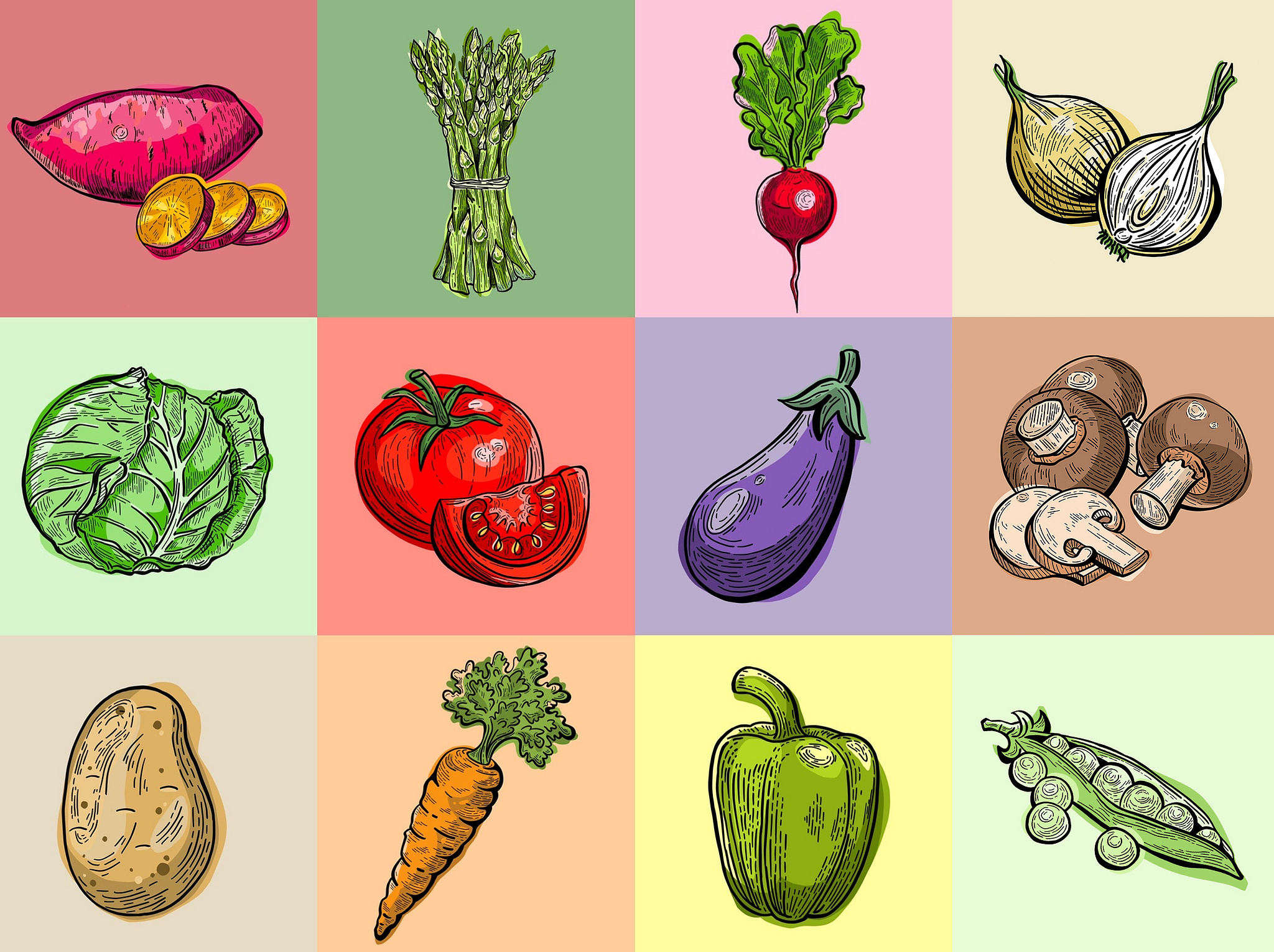 Vegetables by Jen Borror | Hoot Design Studio on Dribbble