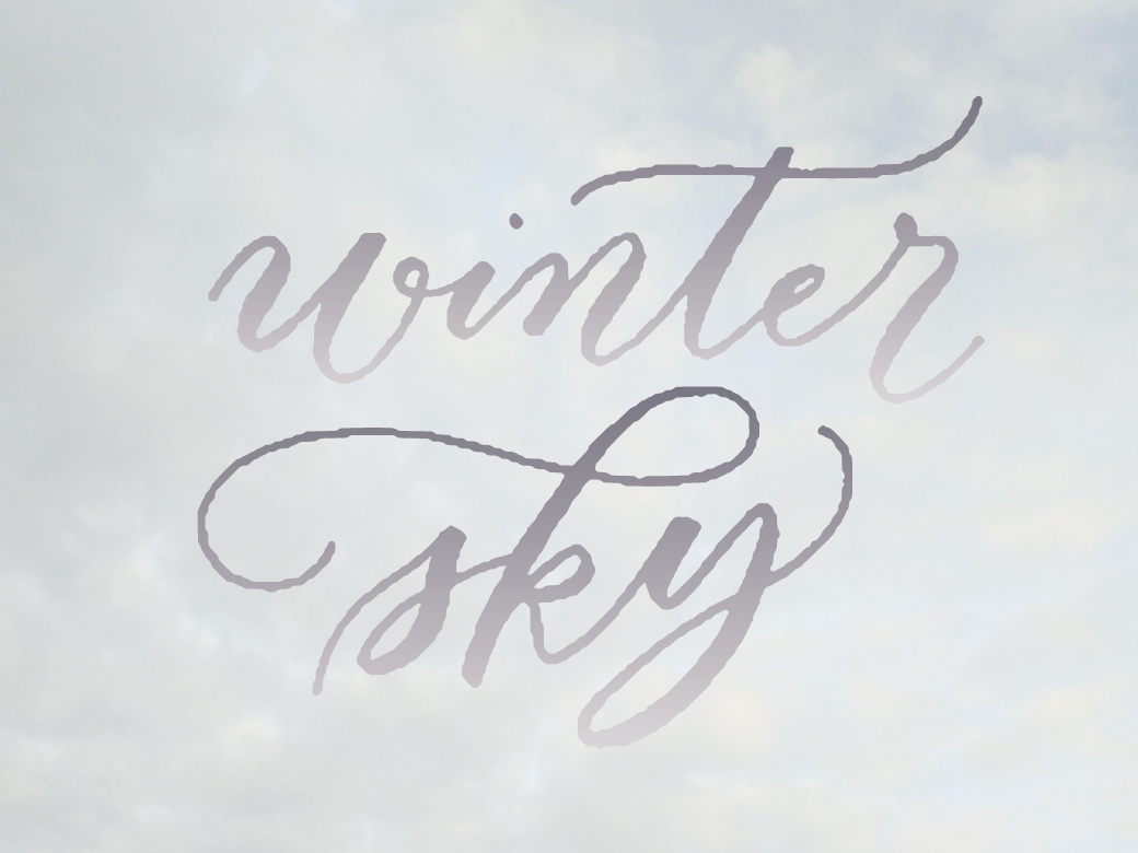 Winter Sky by Amy Cohas on Dribbble