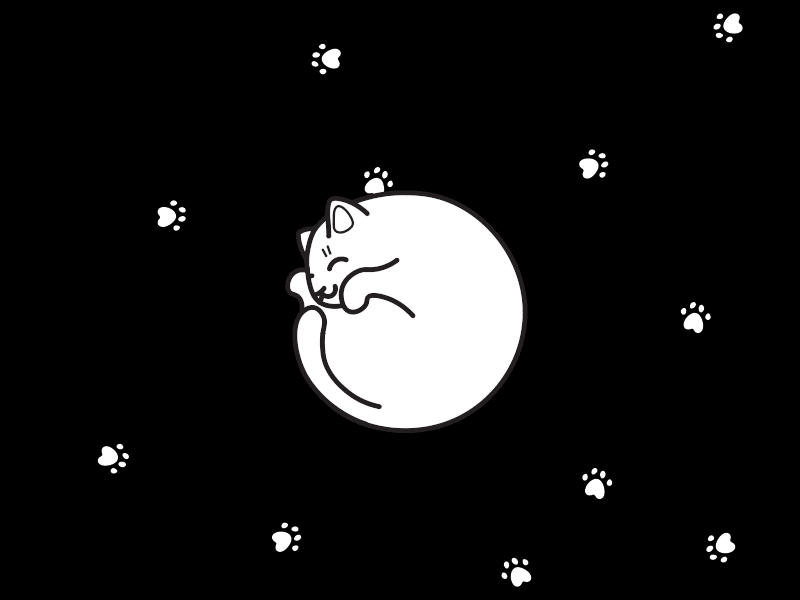 Phases Of The Cat Moon by Denis Sazhin on Dribbble