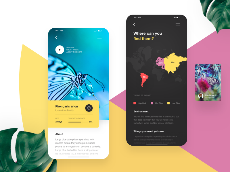 Butterflies App _ About butterfly by Viktor Gajlovic on Dribbble