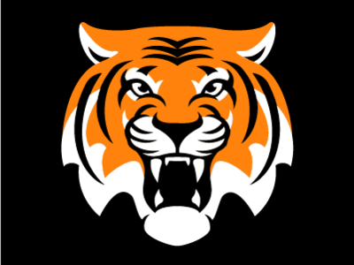 Bengals by Blair Jacobs on Dribbble