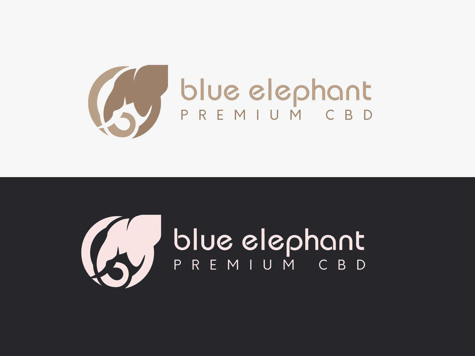Blue Elephant Logo by JRyan on Dribbble