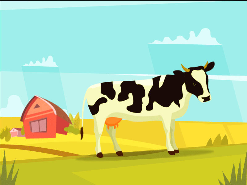 Cow Gif by Alaa Mogheeth on Dribbble