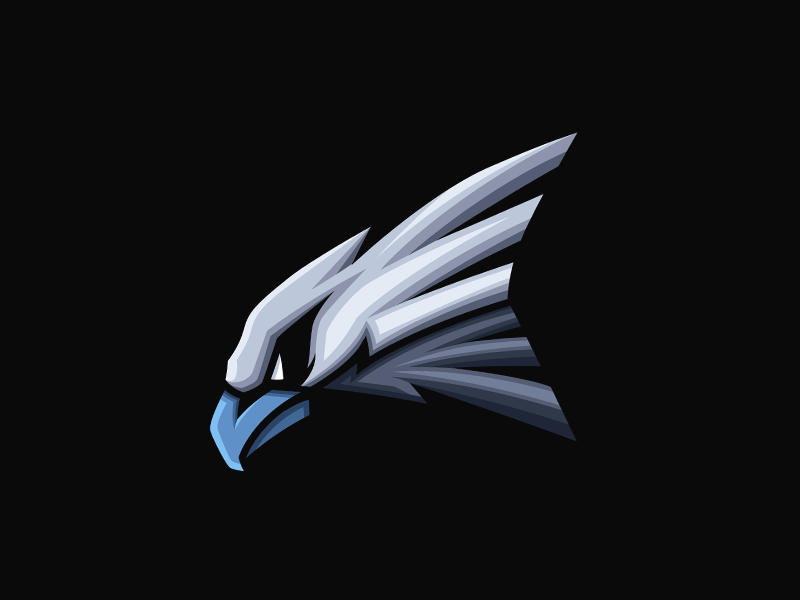 Snowhawk Logo My Store 503178 Snowhawks