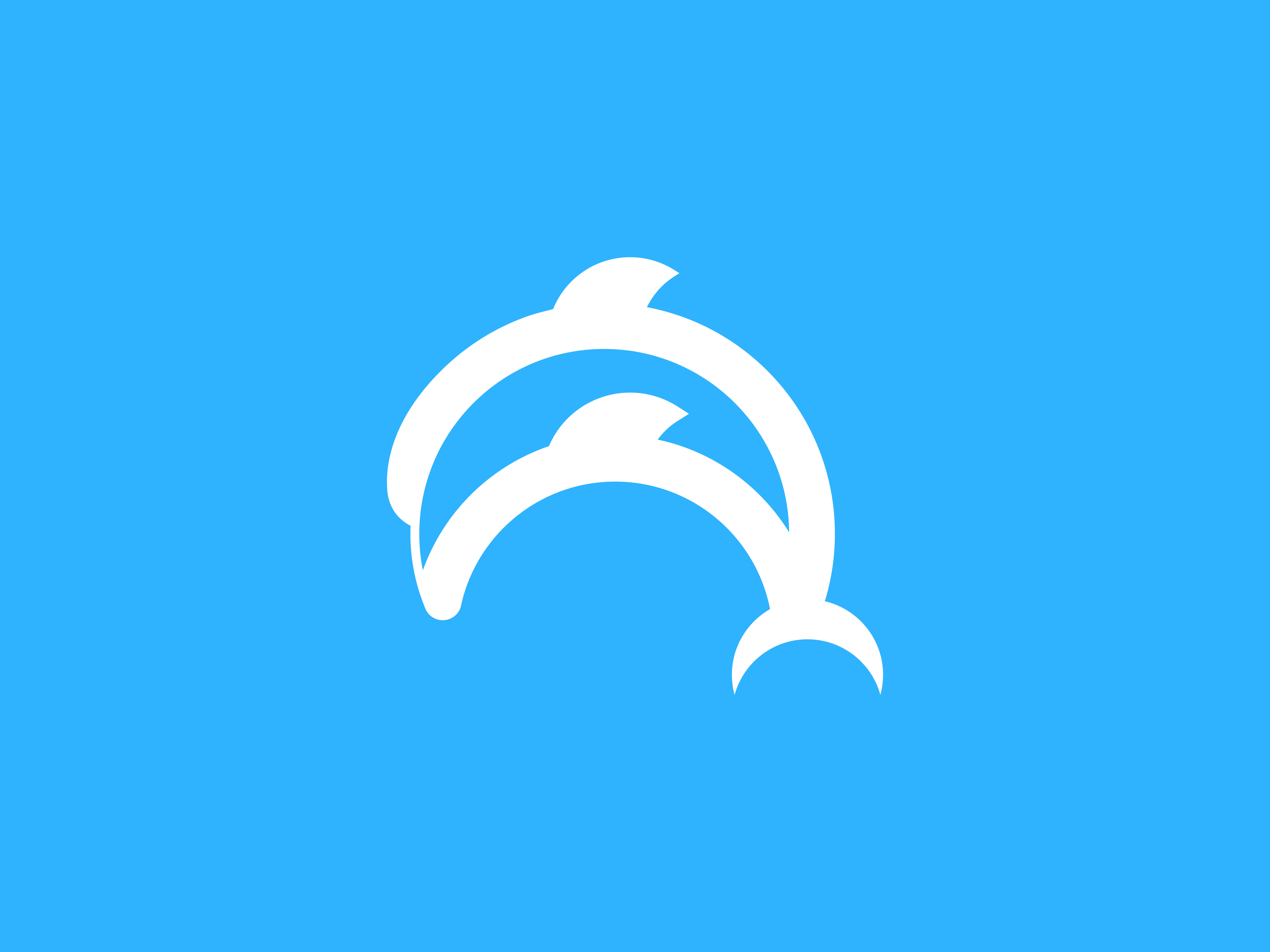 Browse thousands of Dolphin images for design inspiration | Dribbble