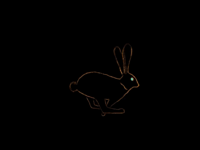 Hare Animation by namrata nadkarni on Dribbble