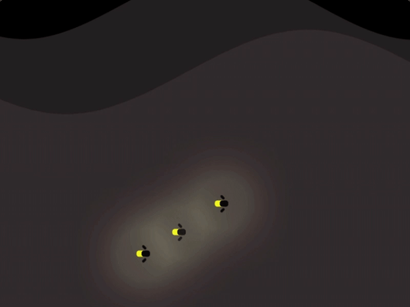 Lighting Bugs Animation by Isabel Calder on Dribbble
