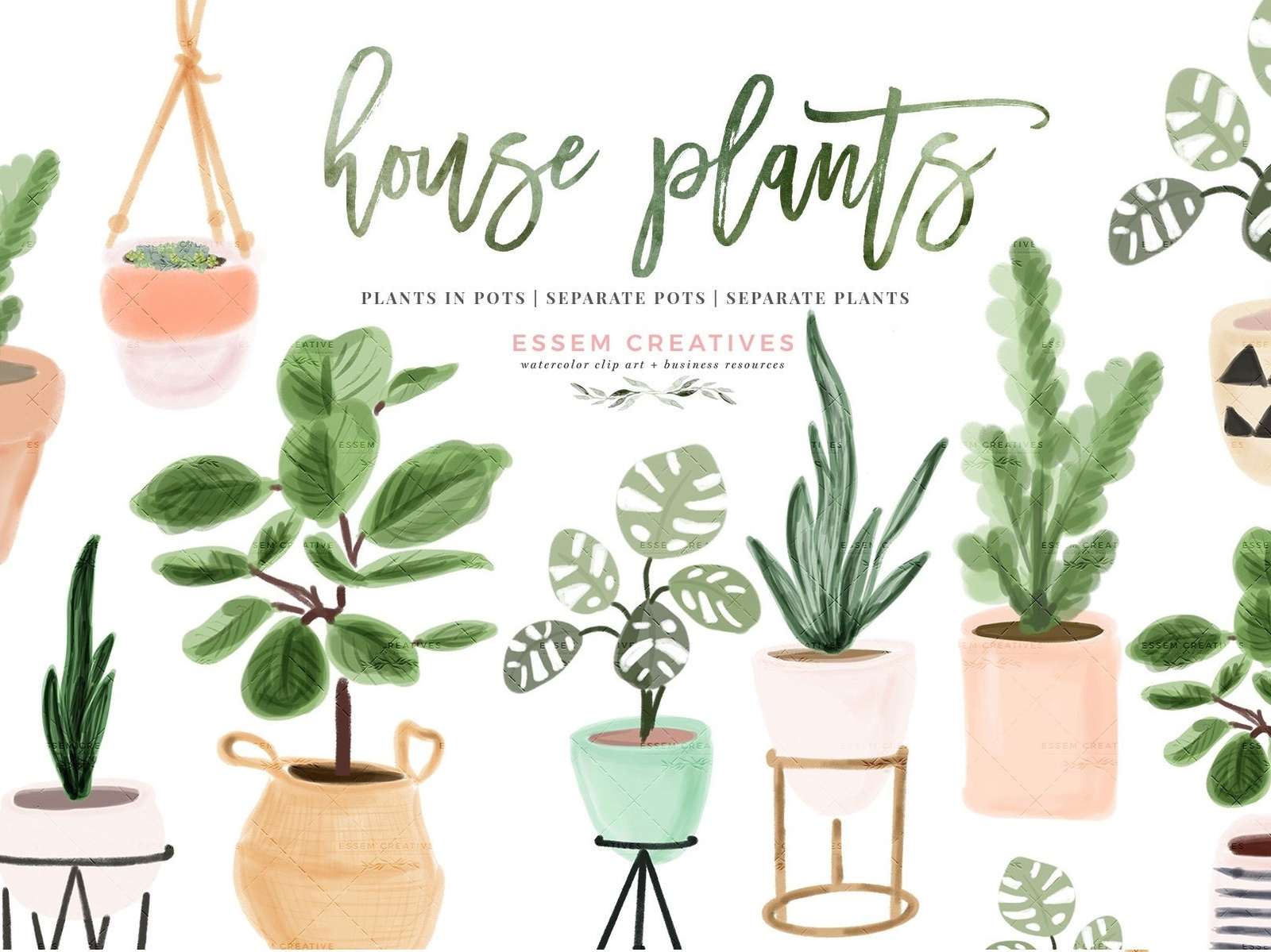 Watercolor House Plant Clip Art by Graphics Collection on Dribbble