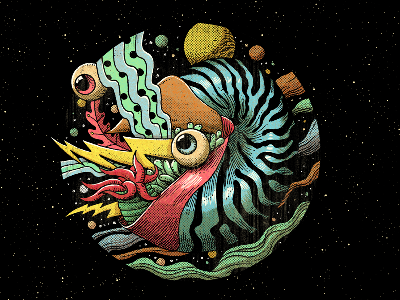 Space Nautilus by Pedro Correa on Dribbble